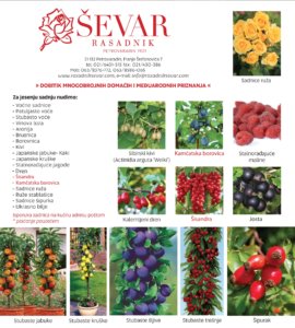 Rasadnik Ševar - jesenja ponuda sadnica 2022